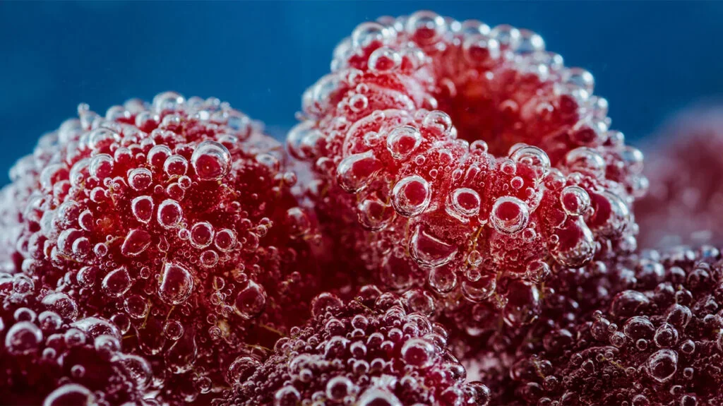 Researchers reveal the bacteria and fungi living in the foods we eat ...