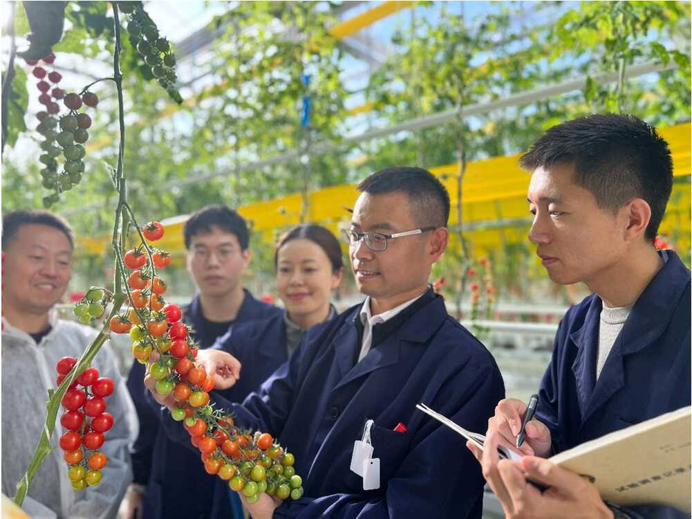 Farming for the future: The rise of climate-smart crops - The Brighter ...