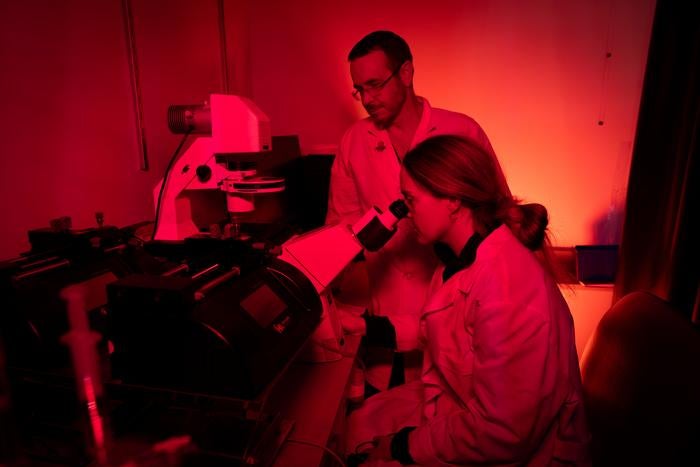 Red light therapy significantly reduces blood clot formation - The ...