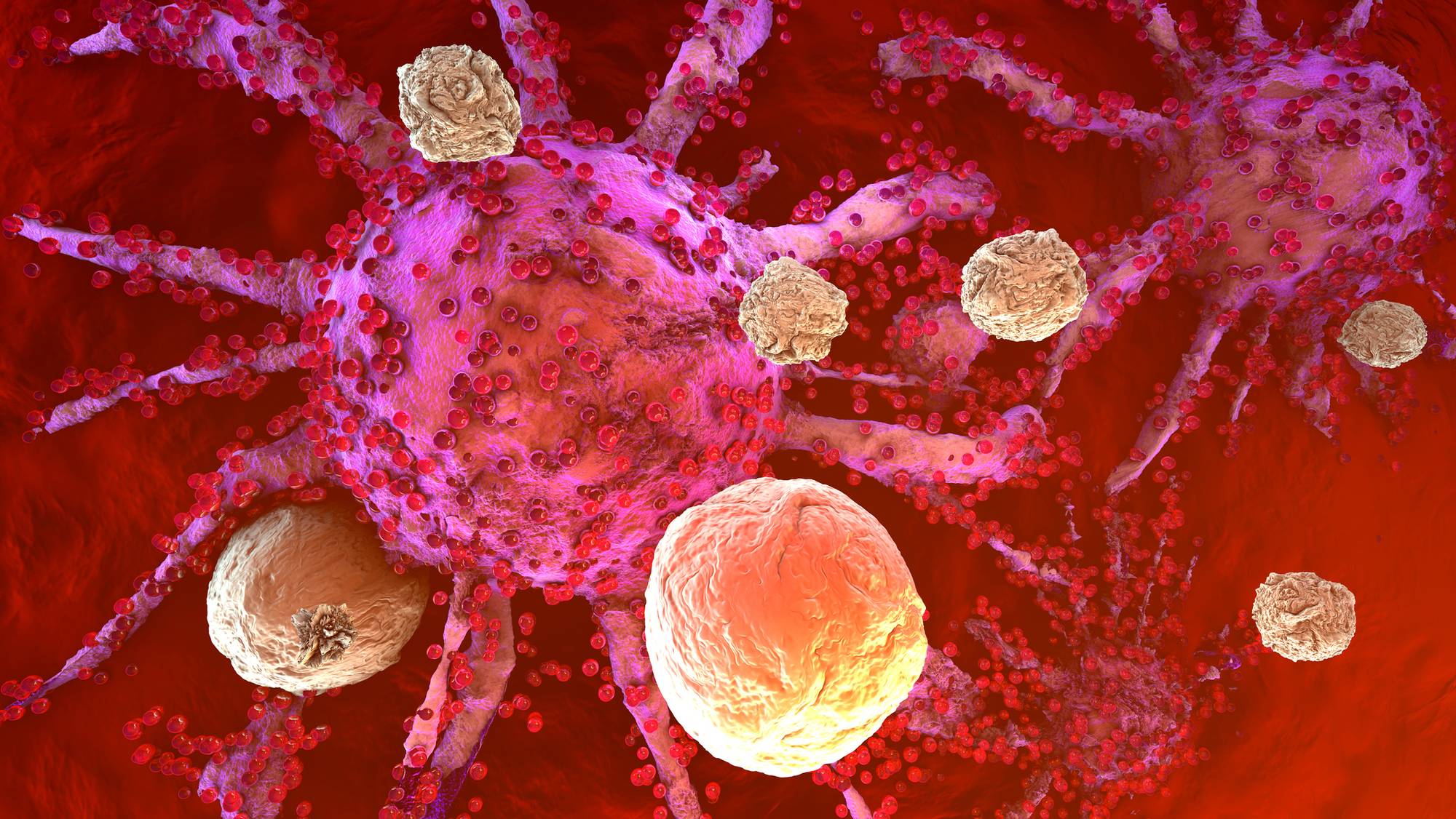 Lab-grown T cells engineered to live longer and fight cancer more ...