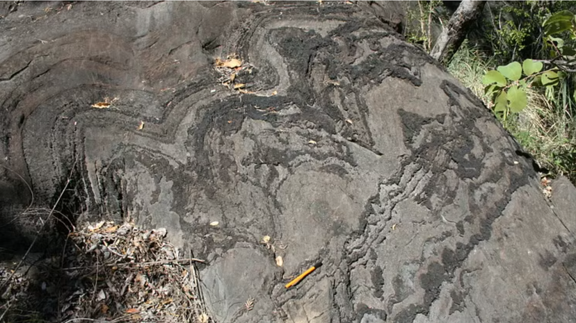 Fossil findings reveal the surprising impact of volcanic activity on ...