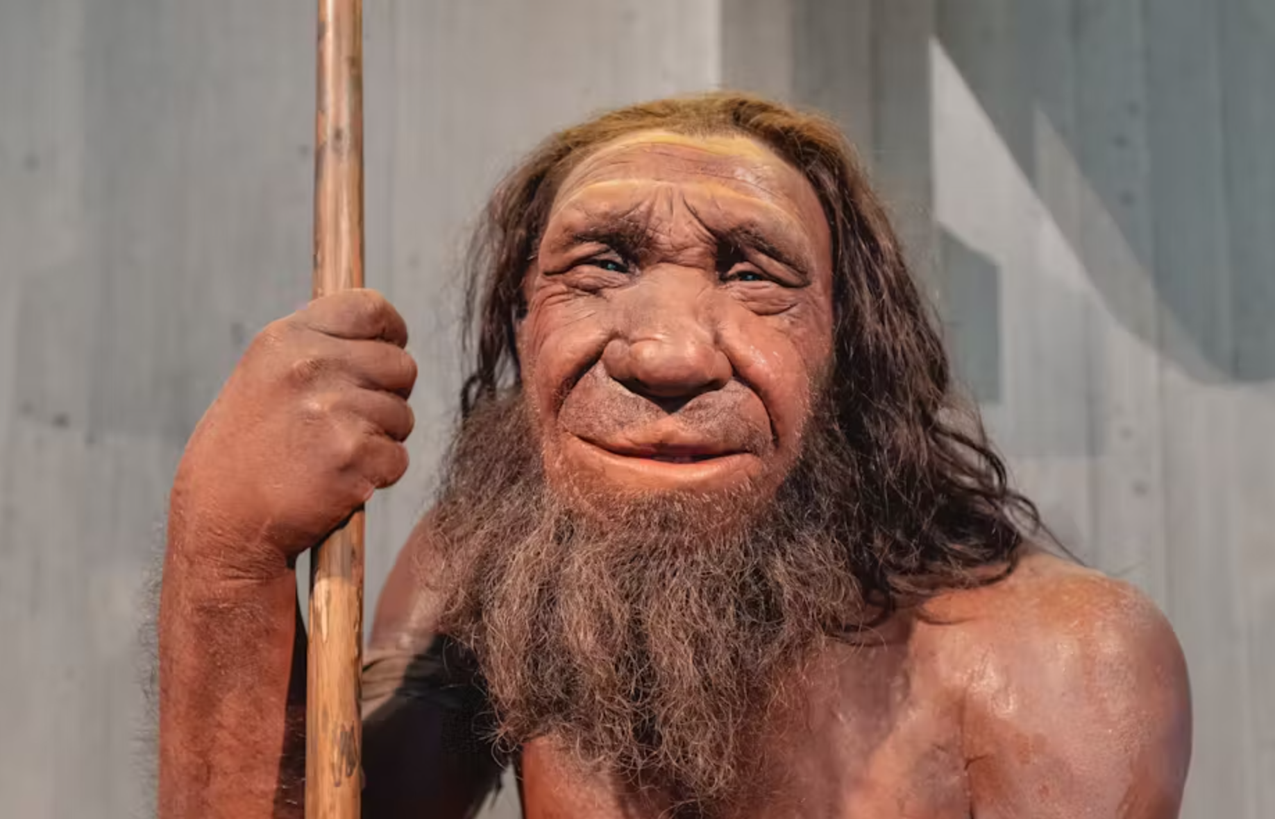 Neanderthals were smarter, stronger, and more human than previously ...