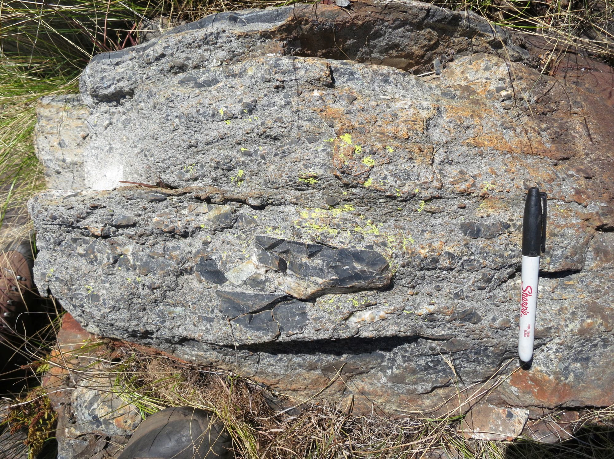 Meteor strike may have sparked an explosion of life in the early Earth ...