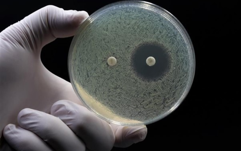 Historic Discovery Reveals New Weapon Against Drug-Resistant Bacteria ...