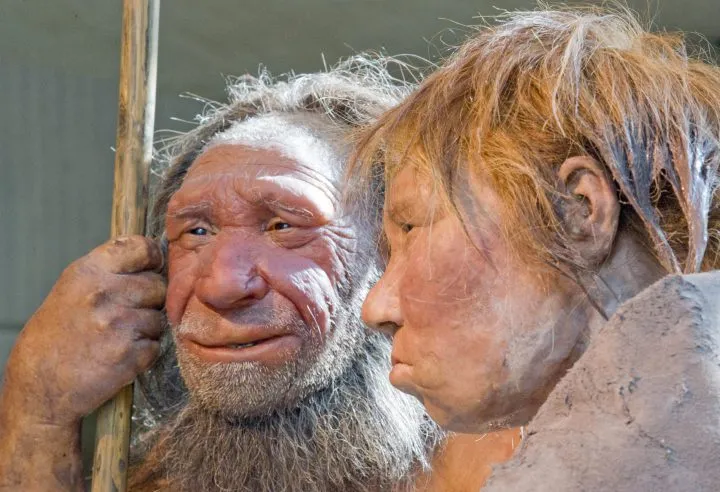 DNA study reveals modern humans evolved from two ancient groups - The ...
