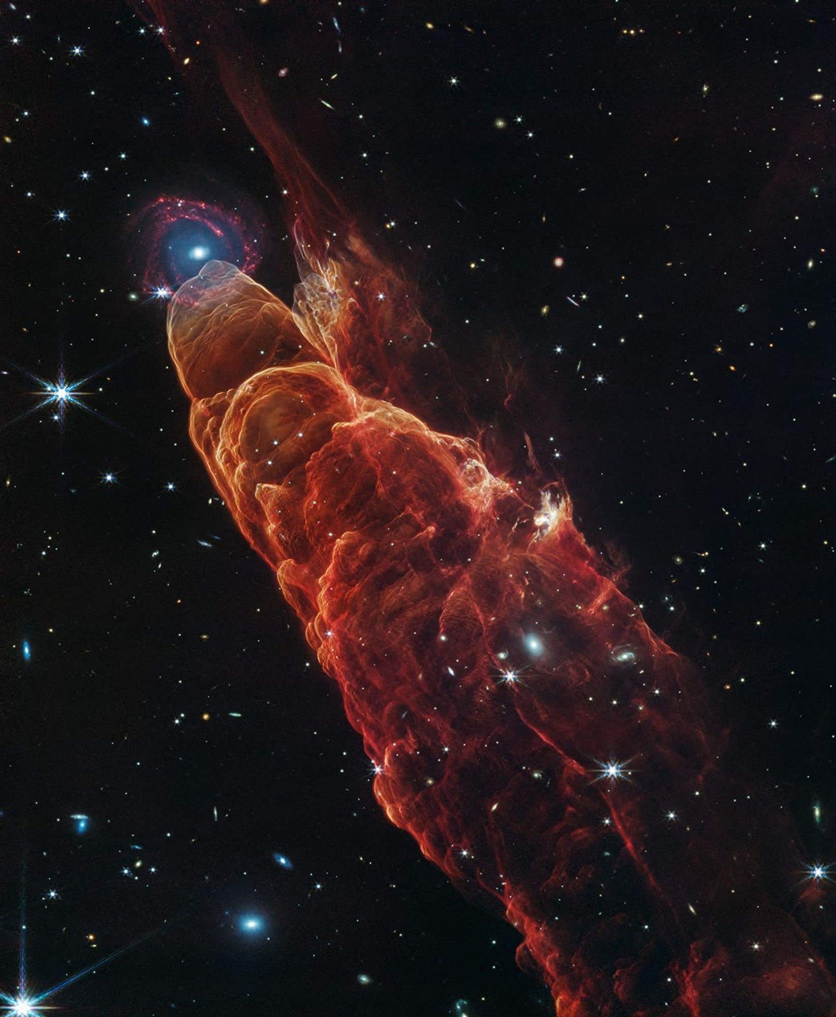 Discoveries Archives - The Brighter Side of News