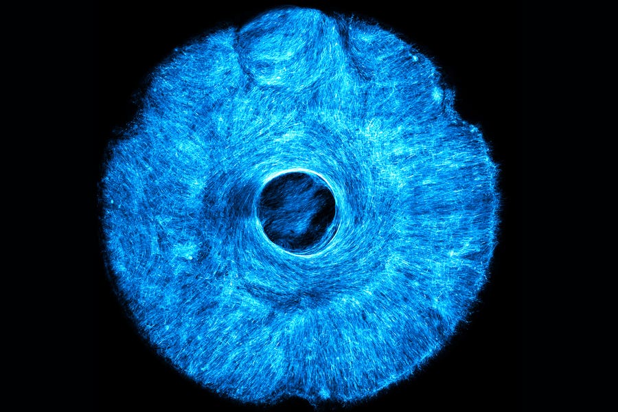 First-ever multi-directional artificial muscles could revolutionize ...