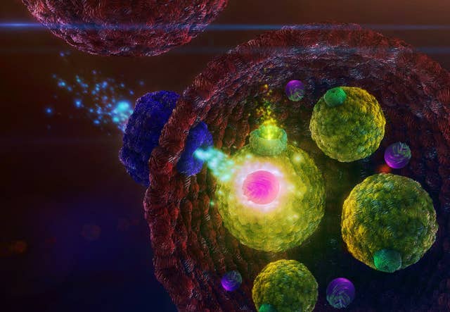 Scientists create synthetic cells that shape-shift in response to light ...