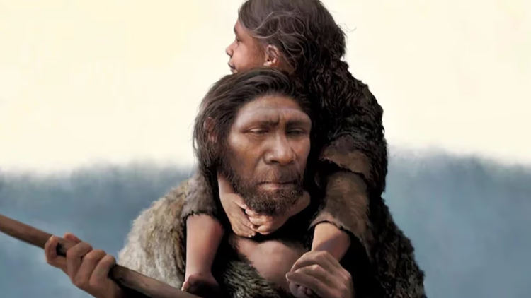 Ancient human fossils reveal a startling twist in evolutionary history ...