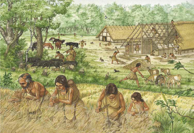 Early Humans Farming