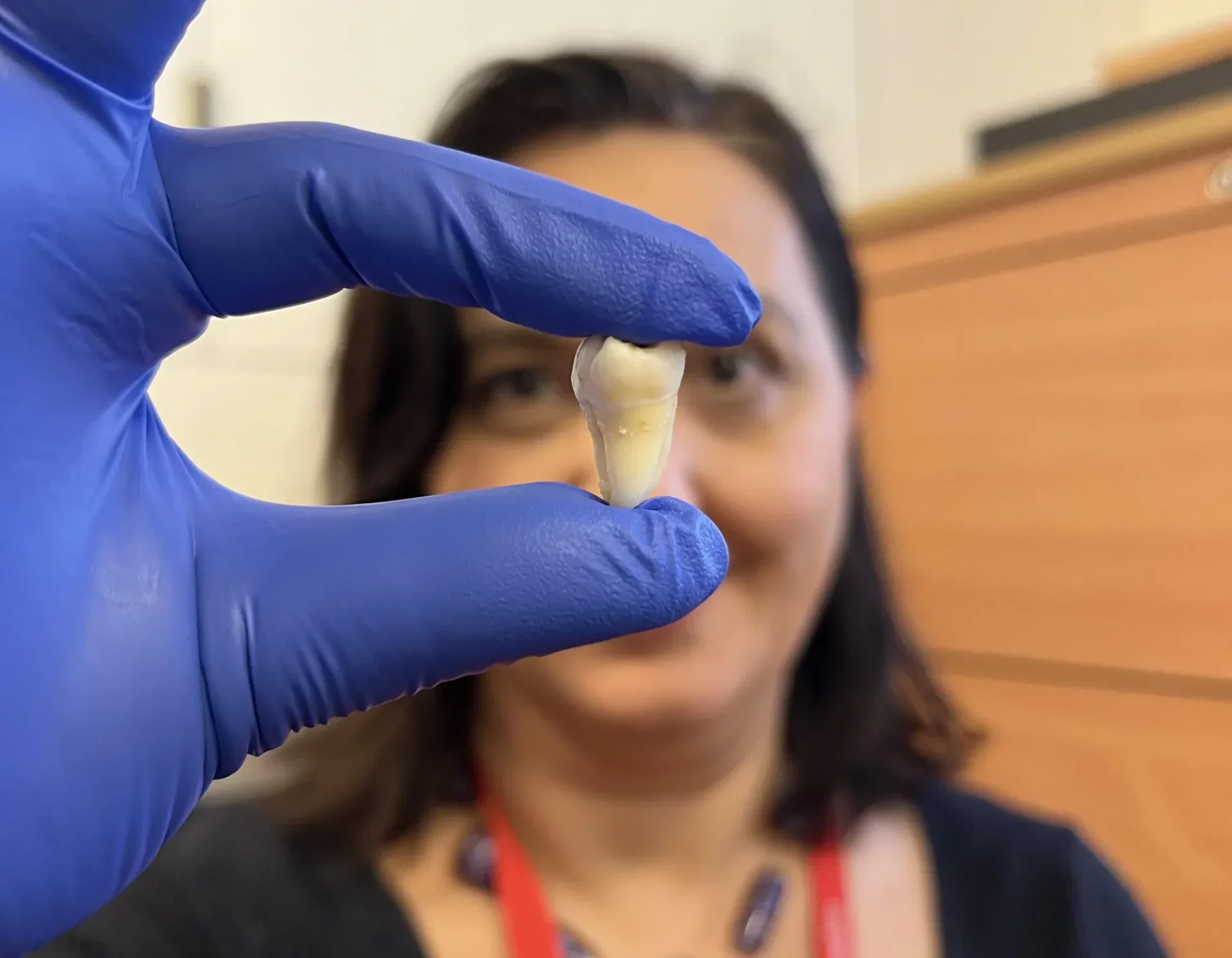 Scientists grow real teeth in the lab - replacing fillings and implants ...