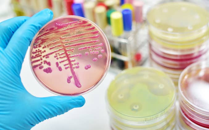 New antibiotic fights drug-resistant bacteria to stop deadly infections ...