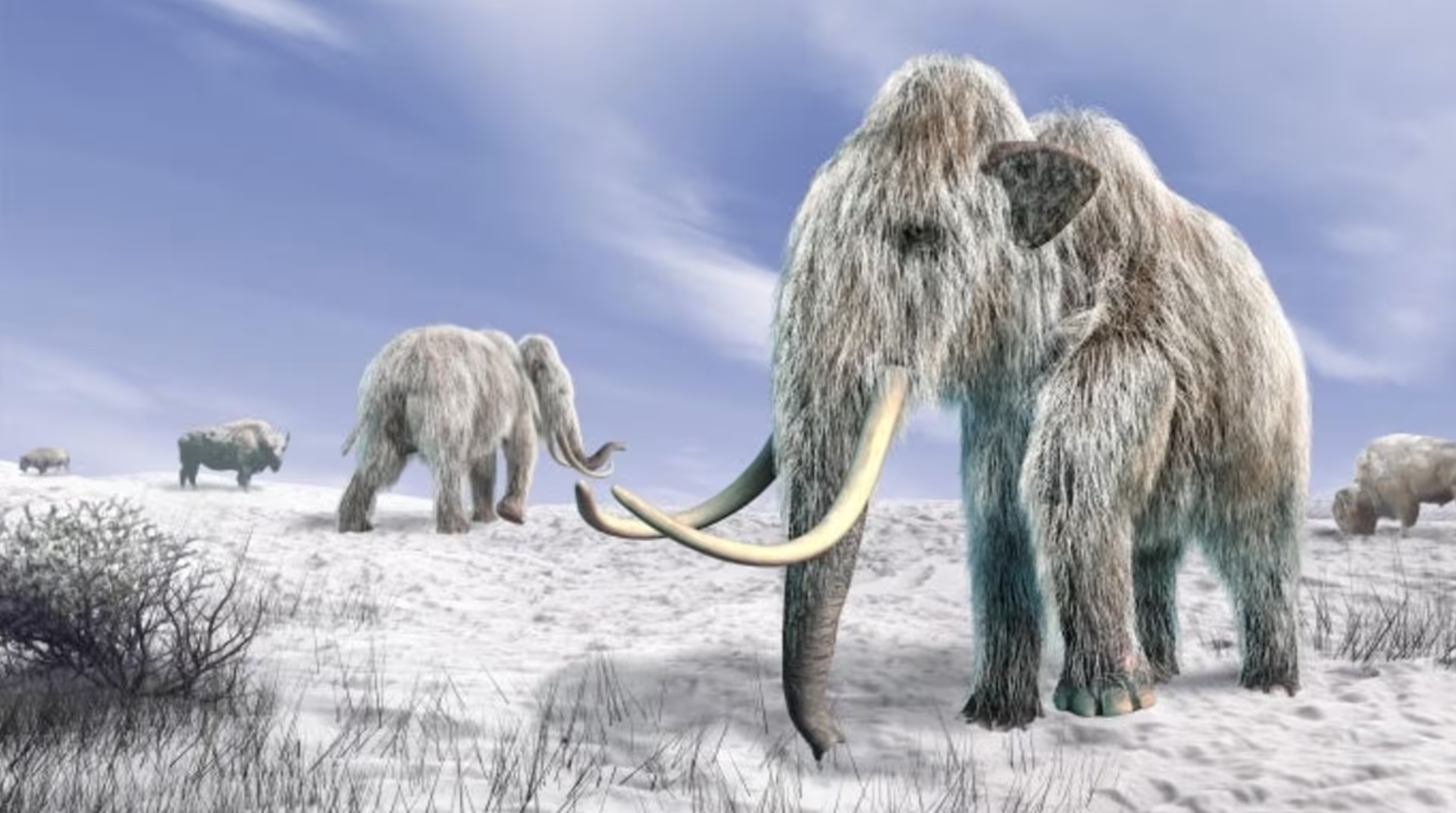 New study reveals how mammals evolved to survive the ice age - The ...