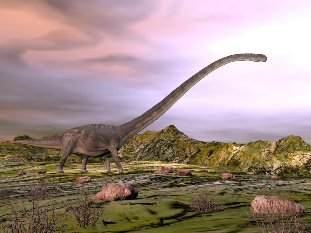 New discovery reveals why dinosaurs reached massive sizes - The ...