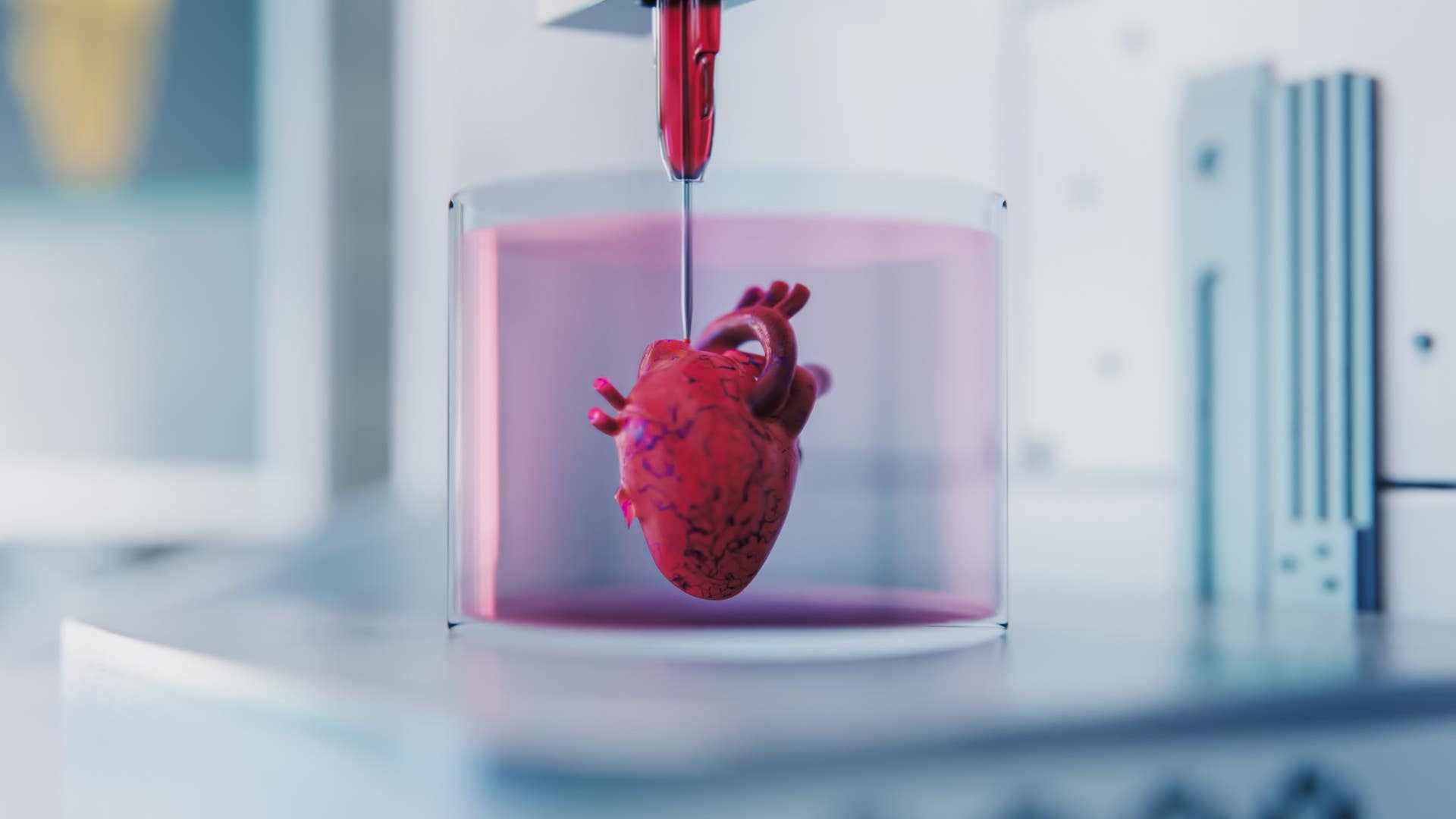 Scientists create 4D bioprinted tissue that changes shape just like ...