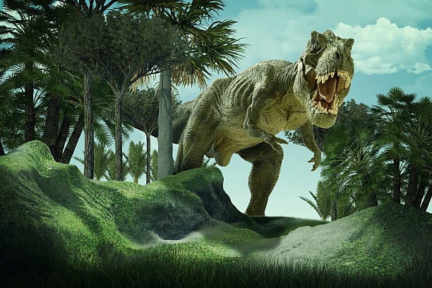 The rise of T. rex: New findings explain their size and origins - The ...