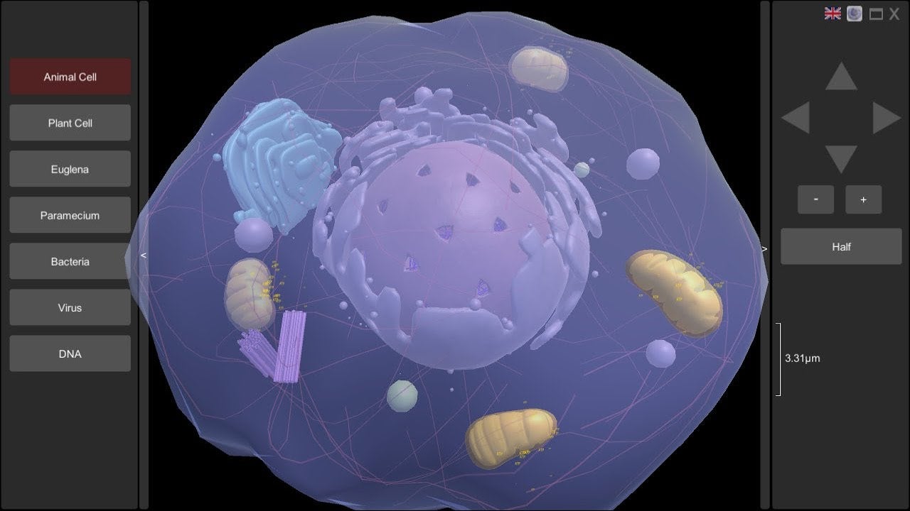 New AI predicts how enzymes behave - eliminates the need for live cell ...