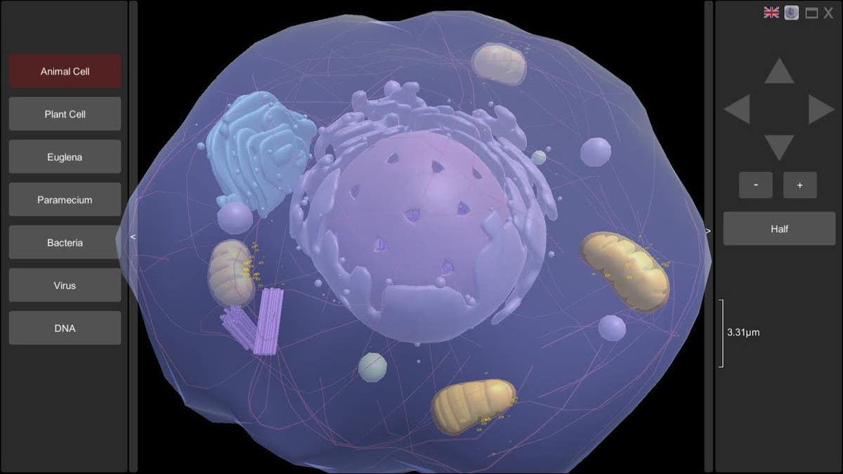 New AI predicts how enzymes behave - eliminates the need for live cell ...