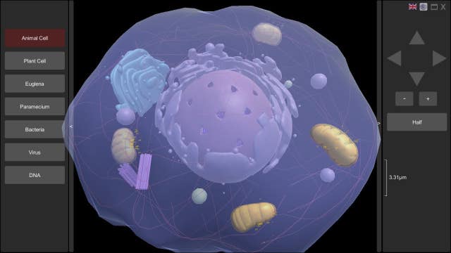 New AI predicts how enzymes behave - eliminates the need for live cell ...