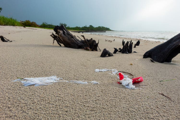 Plastic bag bans reduce shoreline litter by nearly 50%, study finds ...