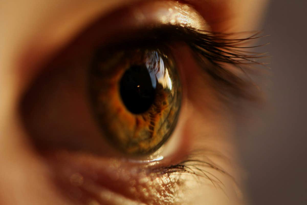 Self-powered artificial synapse brings human-like vision to smart ...