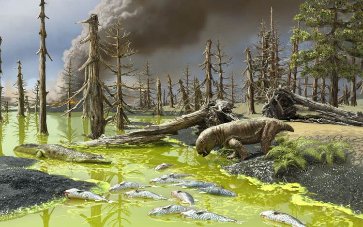Earth's 'Great Dying' fueled 5 million years of global warming - The ...
