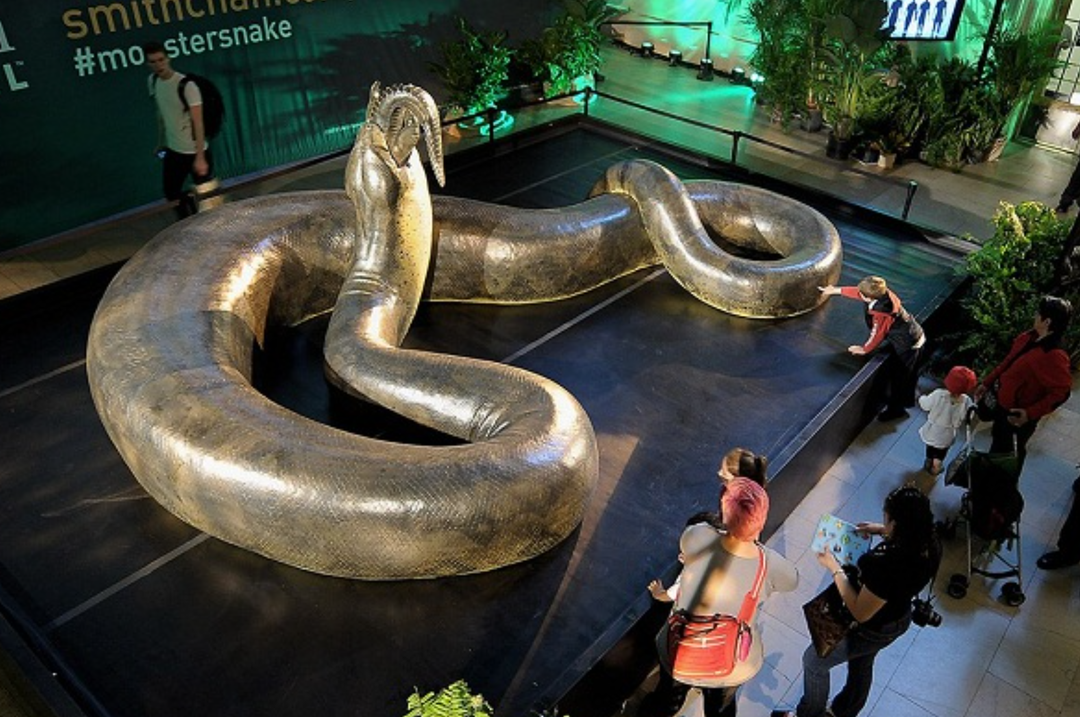 Titanoboa: The massive 45-foot snake that ruled the prehistoric world ...