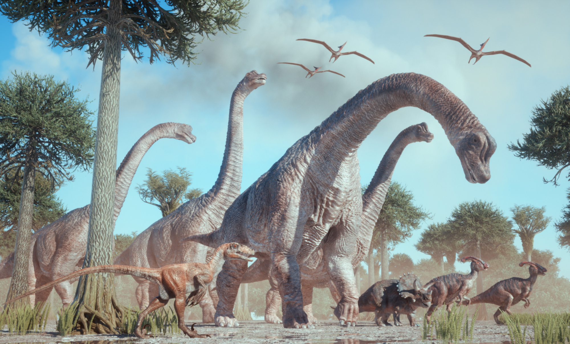 Dinosaur tracks reveal mixed species travelled together in herds like ...