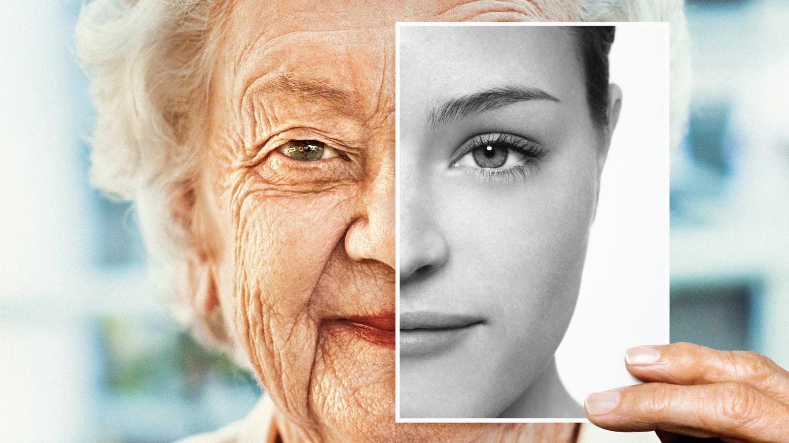 New protein discovery opens the door to slowing or even reversing ...