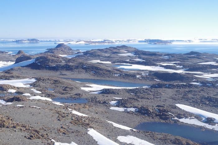 Antarctica’s buried landscape may be slowing climate change, study ...