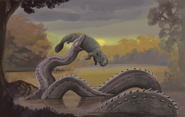 Scientists discover colossal 50-foot long snake from 47 million years ...