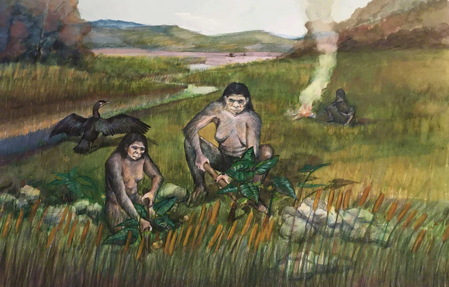 Ancient wooden tools, from long before Homo sapiens emerged, discovered ...
