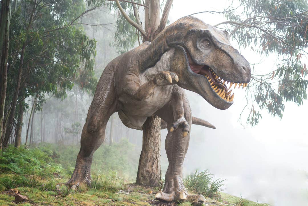 How did the T. rex’s bite force compare to the largest carnivorous ...