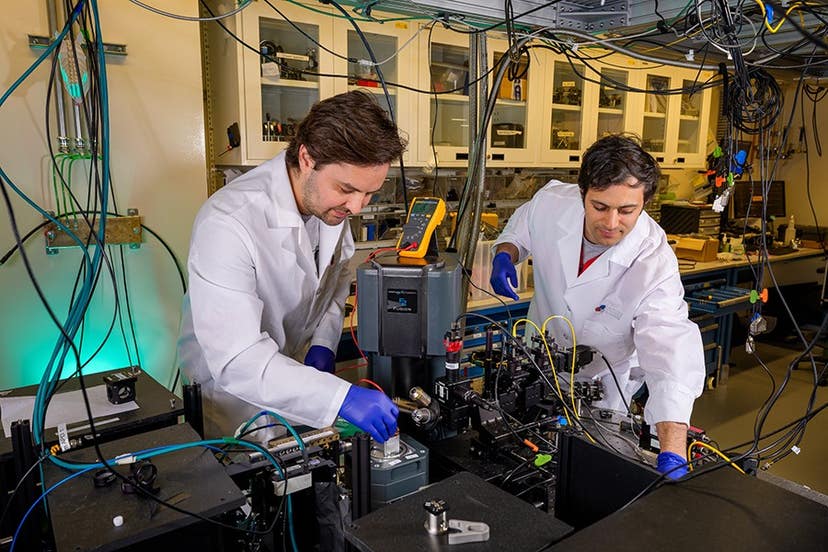 Global first: Scientists program living cells to create biological ...