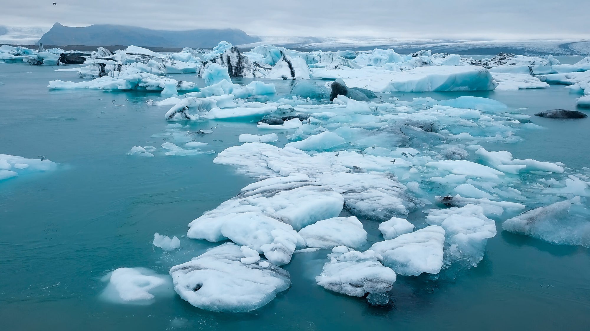 Scientists warn of abrupt shifts across Antarctica’s fragile climate ...
