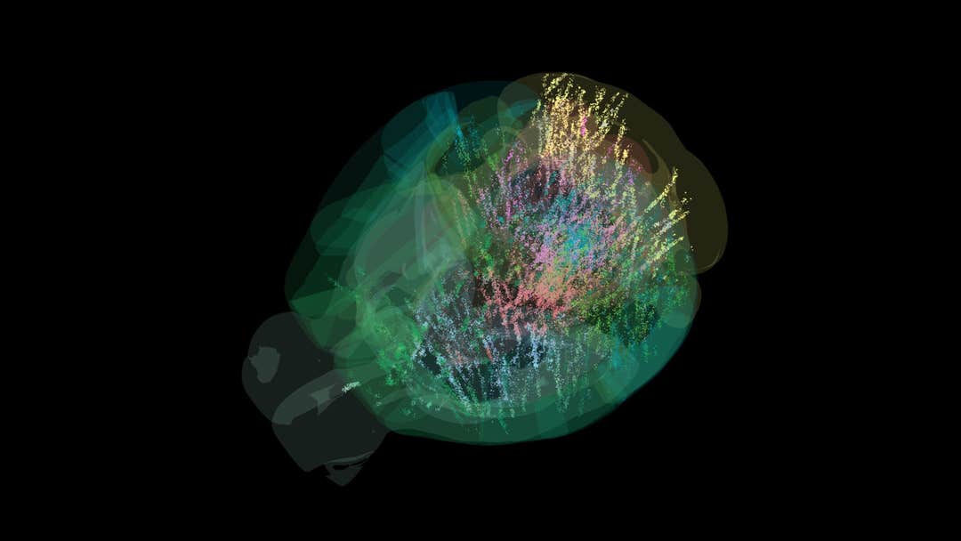 Scientists produce the first brain-wide map of decision-making at the ...
