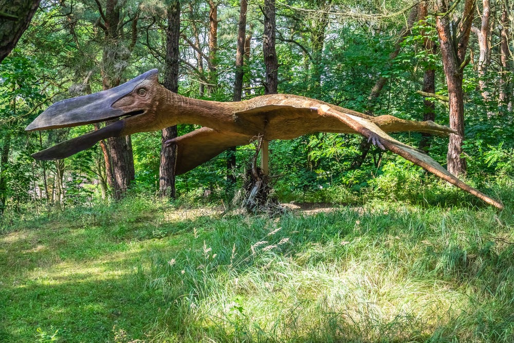 New discovery offers scientists a rare glimpse into how pterosaurs ...