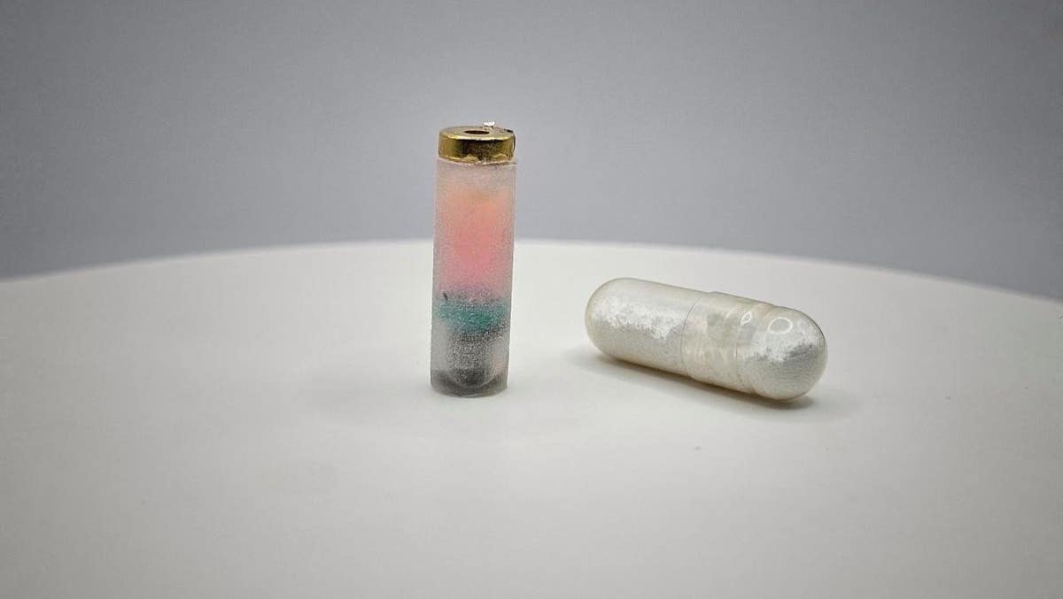 First-ever, pill-sized, bioprinter can be swallowed for surgery-free ...