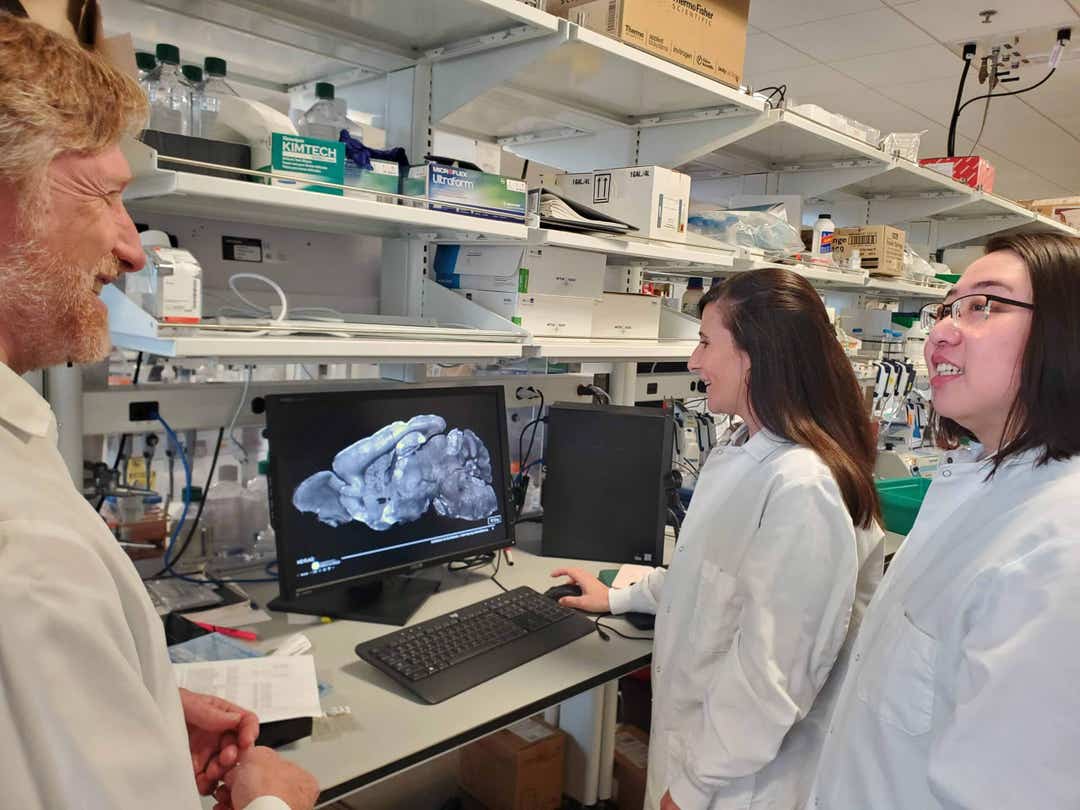 New gene therapy fixes brain disorders related to autism and epilepsy ...