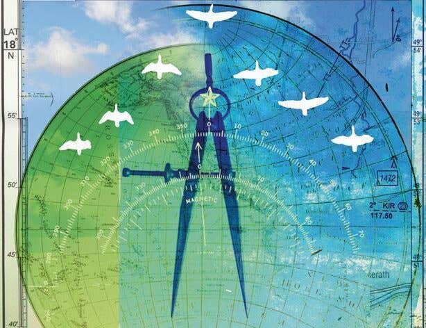 Magnetofossil crystals reveal Earth’s first animal navigation system ...