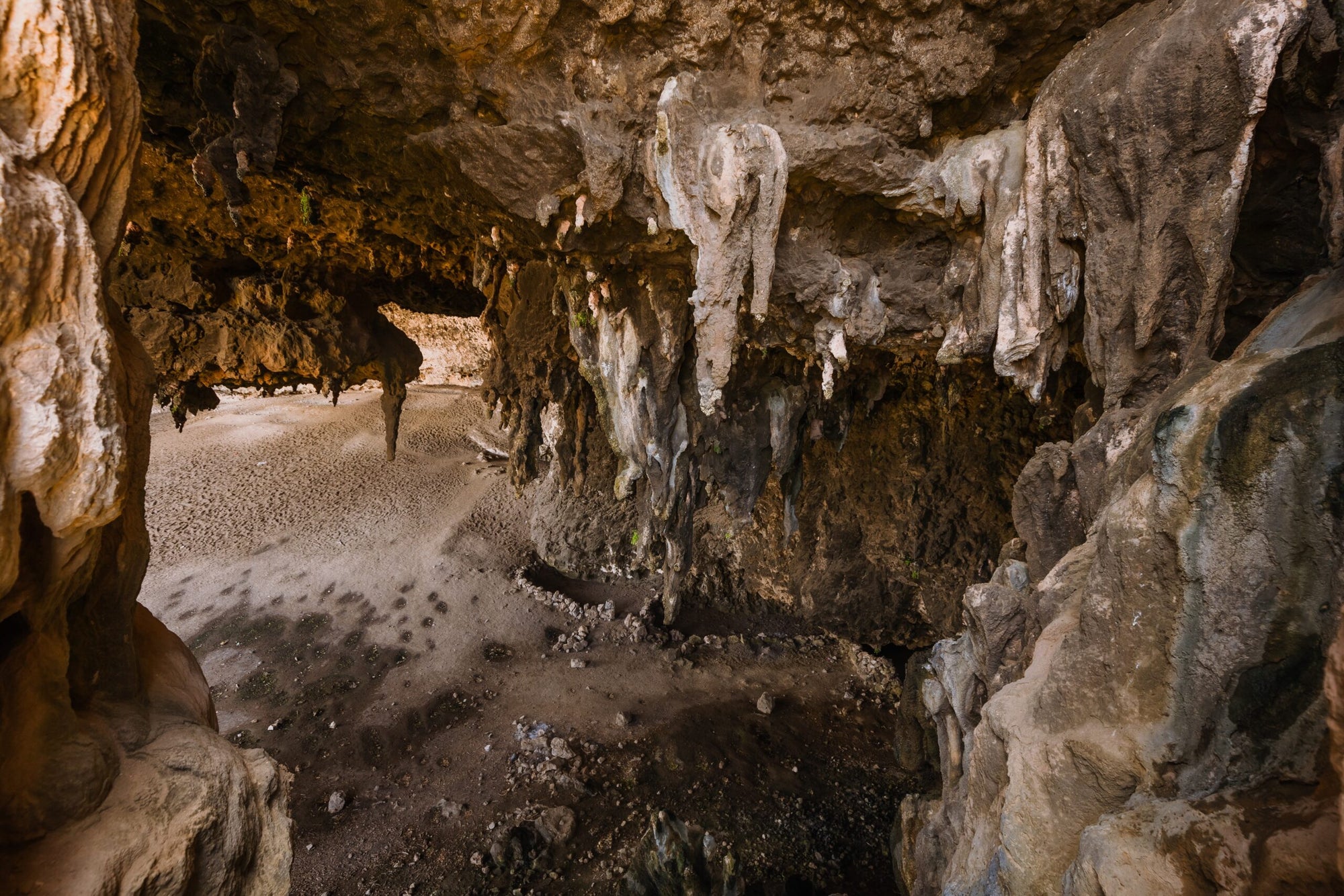 Half a million years of weather is locked inside a 'Devils Hole' - The ...