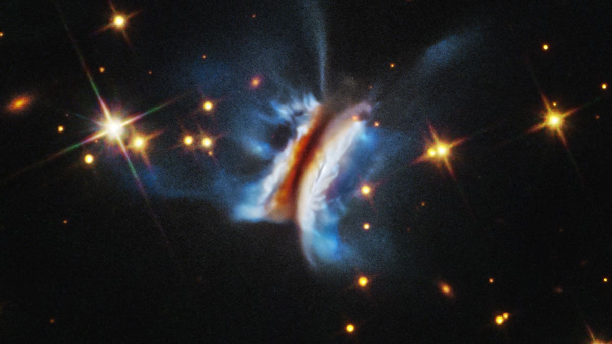 Dracula’s Chivito: Hubble reveals the largest known planet-forming disk ...