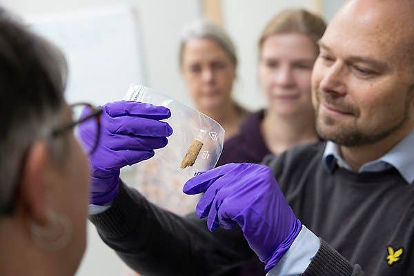 Ancient DNA reveals southern Africa’s hidden role in the rise of modern ...