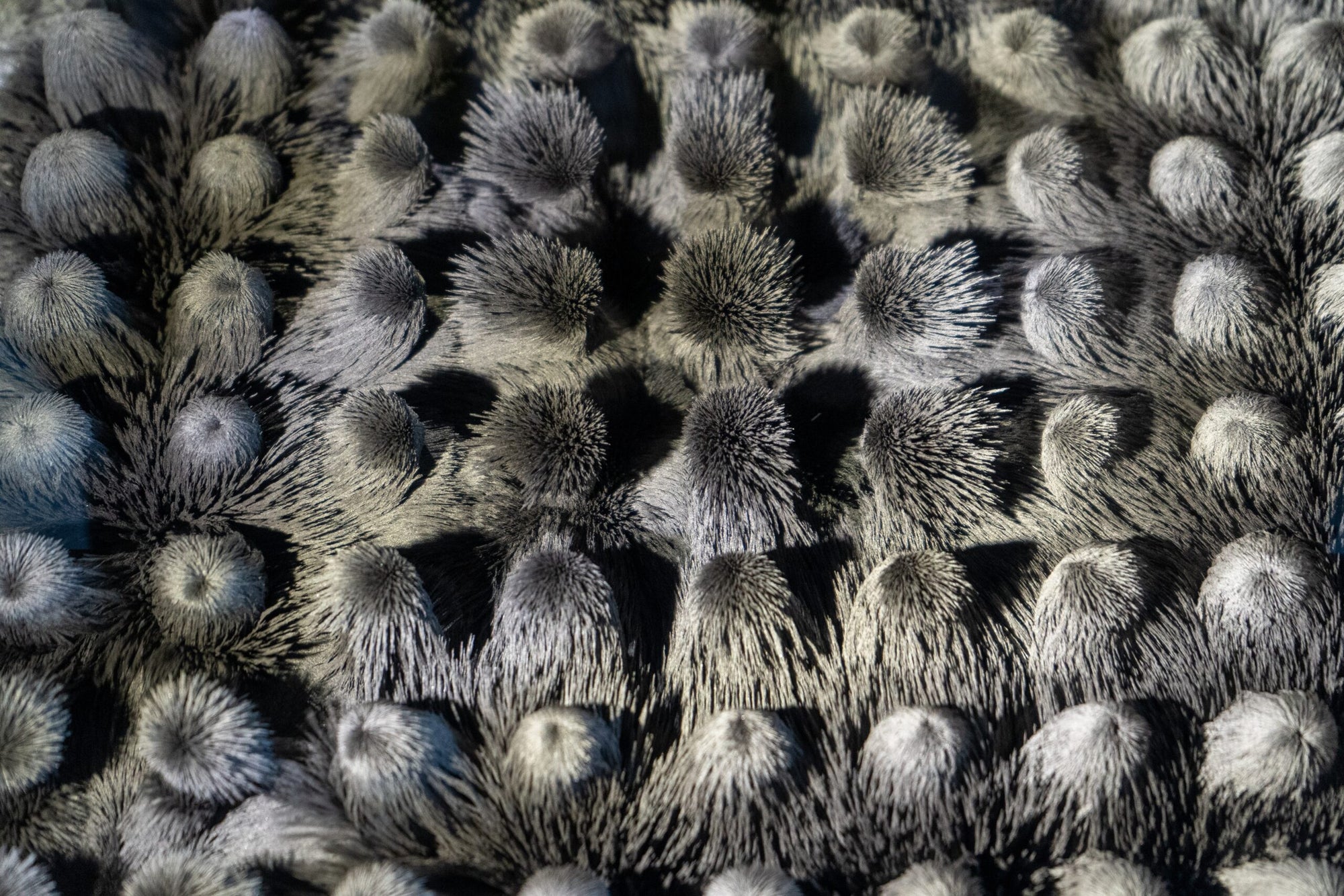 Superconductivity and magnetism can co-exist in some materials, MIT ...