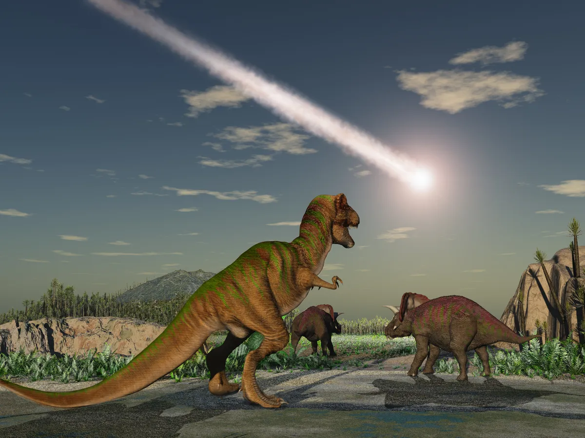 Marine life evolved rapidly after the dinosaur killing asteroid impact ...