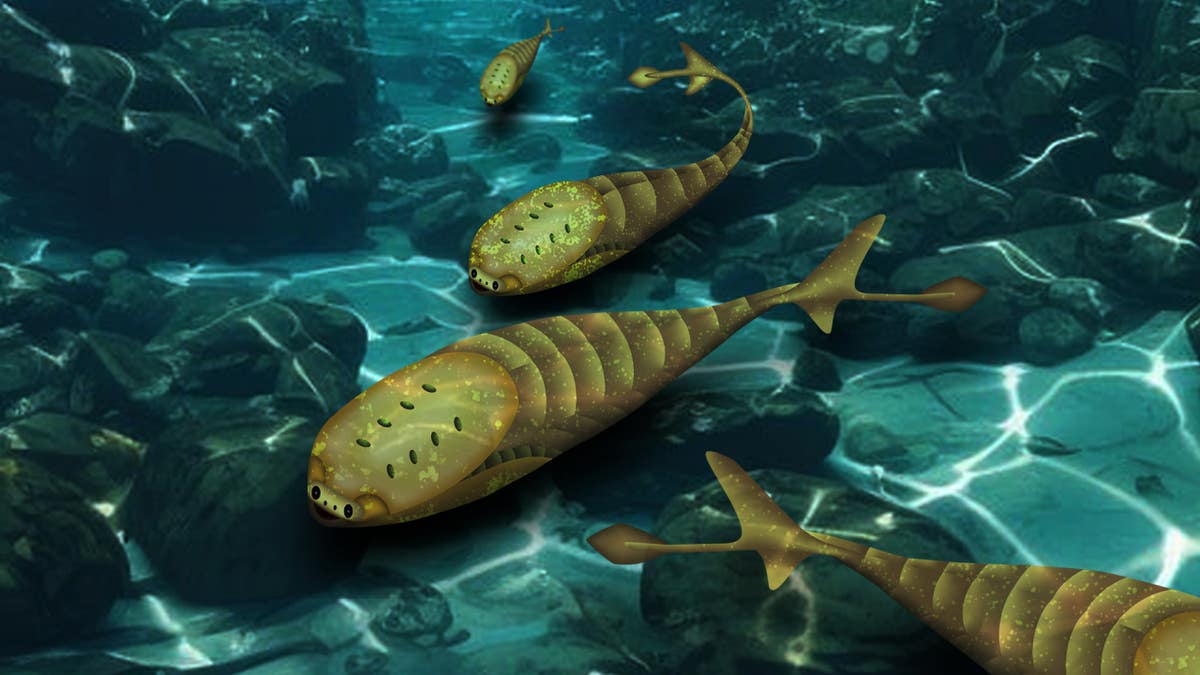 Mass extinction helped jawed vertebrates rise, study finds - The ...