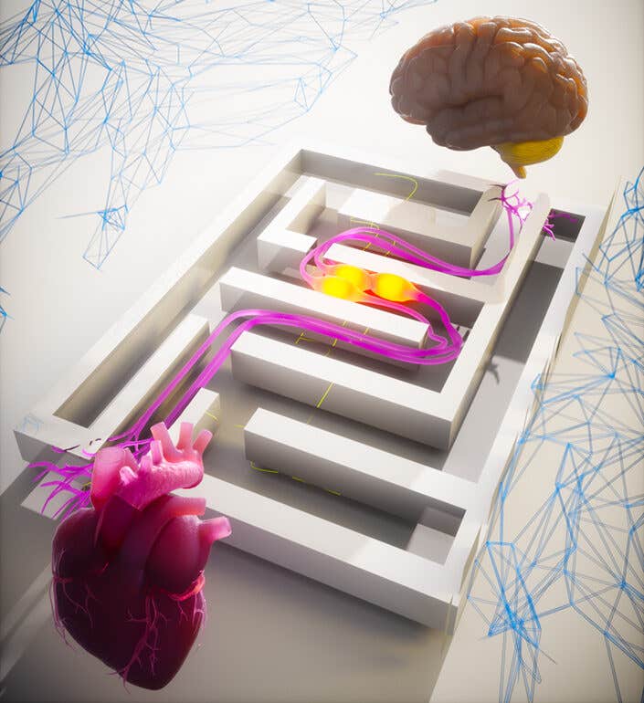 Nanotechnology drives new breakthrough in artificial photosynthesis ...
