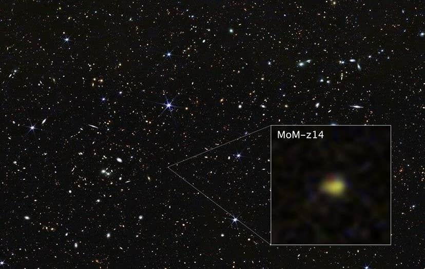 JWST confirmed the most distant galaxy ever observed at 13.5 billion ...
