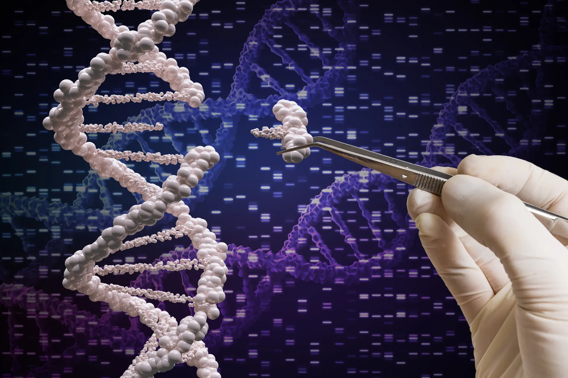 Flipping a single DNA letter can trigger complete sex reversal - The ...