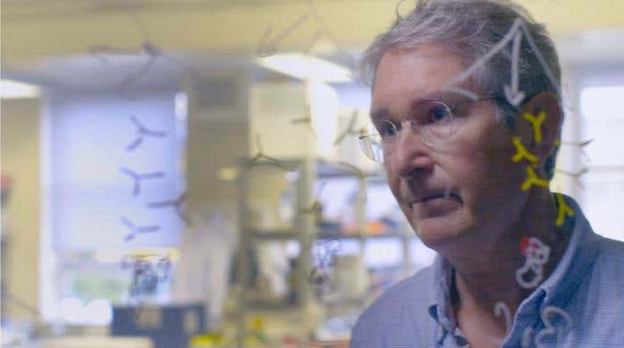 Universal coronavirus vaccine clears first human safety trial - The ...